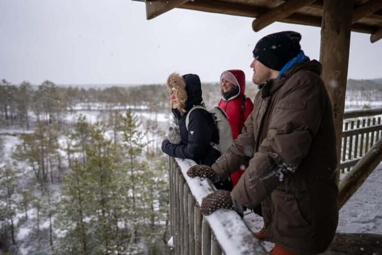 From Tallinn: Day Trip to Lahemaa National Park - Who Will Love This Tour?