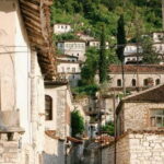 From Tirana: Berat UNESCO Full-Day Tour and Belshi Lake - Guided Experience & Logistics