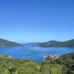 From Tirana: Day Tour to Shala River with Boat Trip - Deep Dive into the Itinerary
