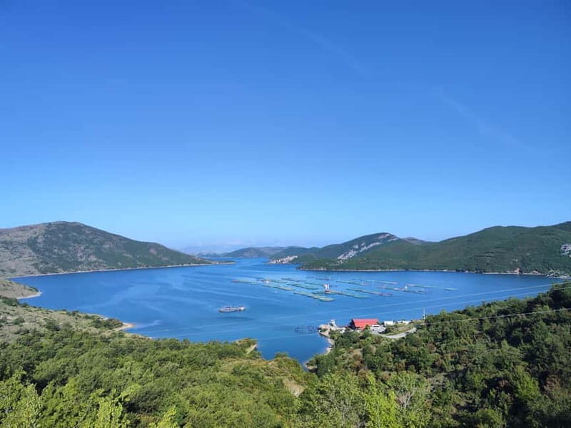 From Tirana: Day Tour to Shala River with Boat Trip - Deep Dive into the Itinerary