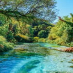 From Tirana/Durres: Tour to Saranda, the Maldives of Europe - Practical Details and Value