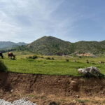 From Tirana/Durres:Hiking tour in National Park of Shebenik - The Highlights of the National Park