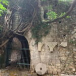 From Tirana: Shkodra and Ulcinj, Montenegro Day Tour - What Makes This Tour Stand Out?