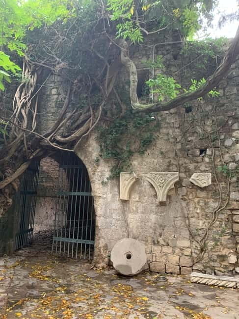 From Tirana: Shkodra and Ulcinj, Montenegro Day Tour - What Makes This Tour Stand Out?
