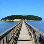 From Tirana: Vlora City and Zvernec Island Guided Day Trip - Why This Tour Is Worth Considering