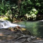 From Trogir, Seget & Okrug: Krka Waterfalls Gastro Tour - Exploring the Tour: What Makes It Special