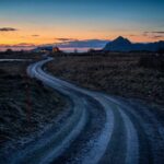 From Tromsø: Arctic Wildlife & Fjord Sightseeing Tour by Car - A Detailed Breakdown: What to Expect from This Arctic Journey