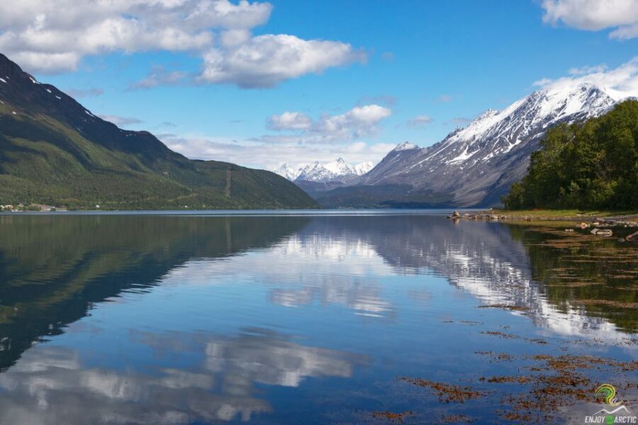 From Tromso: Norwegian Fjords Half-Day Tour - Authenticity and Educational Value