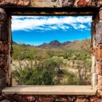From Tucson: Sonoran Desert with Desert Museum Ticket - Tohono Chul Park: A Desert Garden Oasis