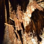 From Valencia: Private Half Day-Trip to Cuevas de San José - What Does the Tour Include and Exclude?
