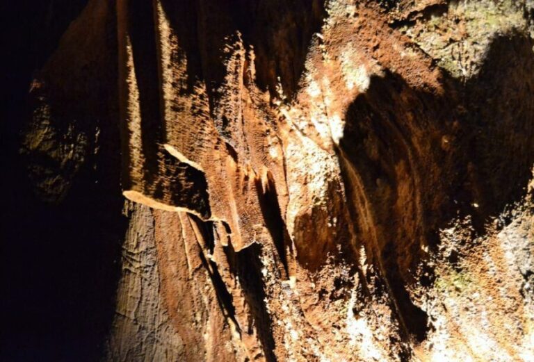 From Valencia: Private Half Day-Trip to Cuevas de San José - What Does the Tour Include and Exclude?