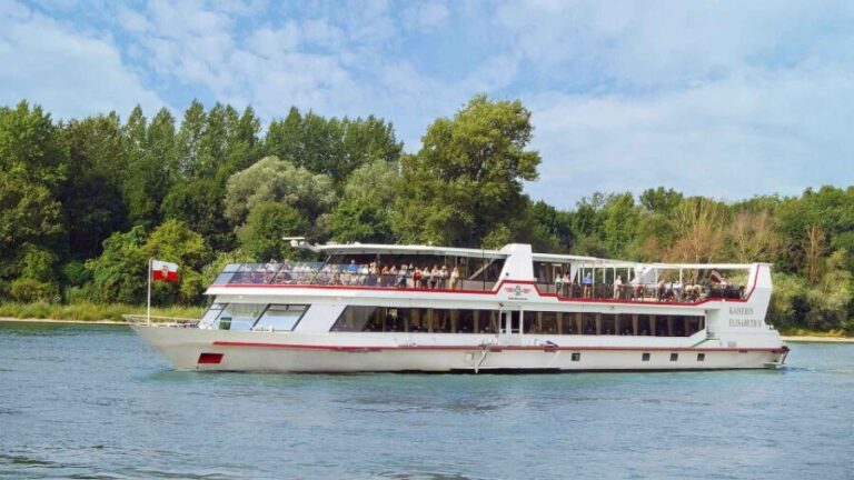 From Vienna: Day Cruise to Bratislava - Authentic Traveler Insights