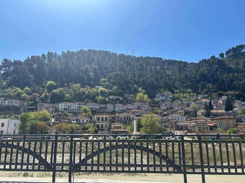 From Vlora: Apollonia,Zvernec & Berat Daily Trip - A Closer Look at the Itinerary