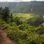 From Waikoloa: Big Island Tour with Lunch - The Value of This Tour