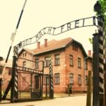 From Warsaw: Auschwitz-Birkenau Small Group Tour with Lunch - What to Expect: A Step-by-Step Breakdown