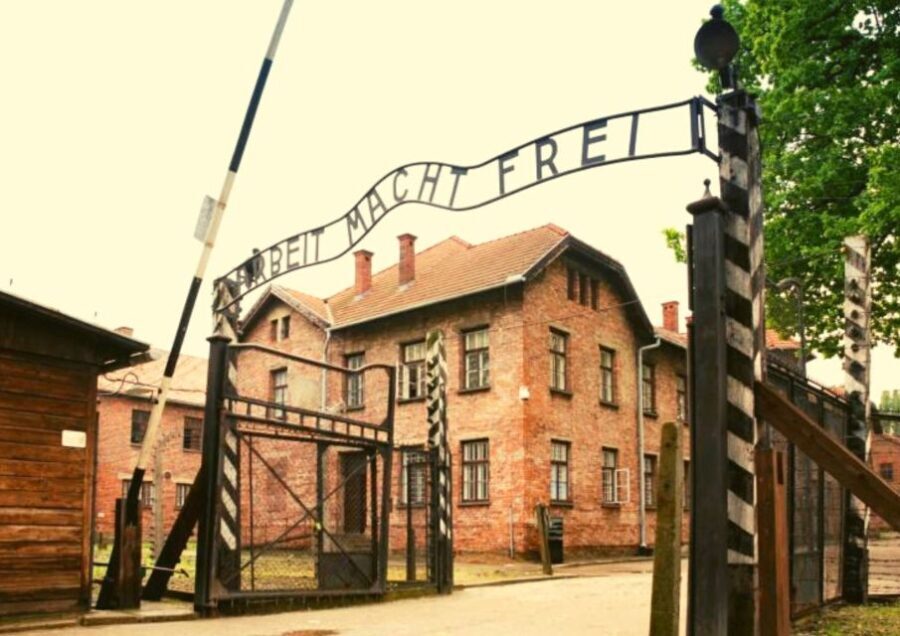 From Warsaw: Auschwitz-Birkenau Small Group Tour with Lunch - What to Expect: A Step-by-Step Breakdown