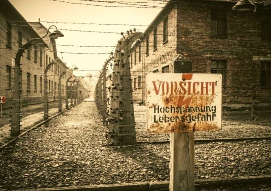 From Warsaw: Auschwitz Day Tour by Private Car with Lunch - Visiting Auschwitz-Birkenau: What to Expect