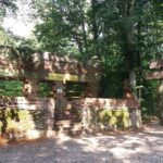 From Warsaw: Tour of the Wolf's Lair, Hitler's HQ by Car - What to Expect on the Tour