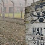 From Wrocaw: Full-Day Auschwitz-Birkenau Guided Tour - Breakdown of the Itinerary