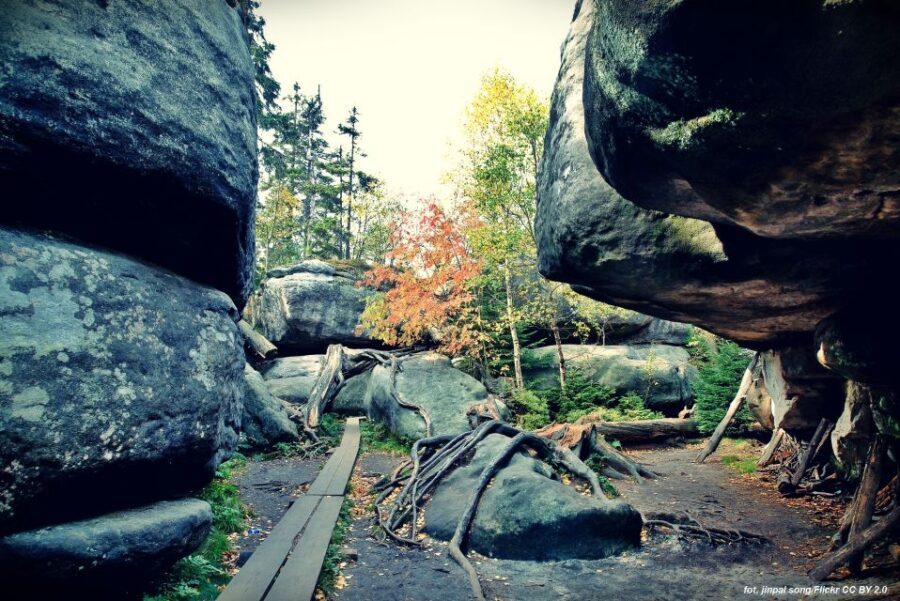 From Wroclaw: Full-Day Stolowe Mountains Trekking Tour - Value and Practical Insights