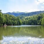 From Yerevan: Sevan, Dilijan, Haghartsin, Goshavank, Old Dilijan - Why This Tour Offers Great Value