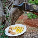 From Zadar: E-scooter self guided day trip on Ugljan island - An In-Depth Look at the Ugljan Island E-scooter Experience