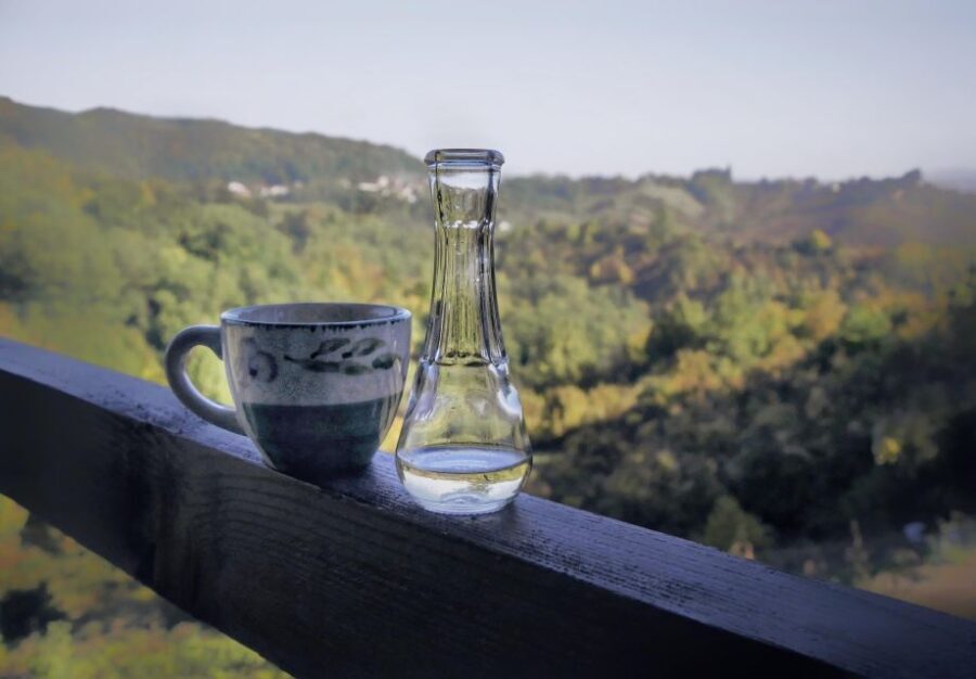 From Zagreb: Samobor & Plesivica Wine Road, Private - Who This Tour Is Best For