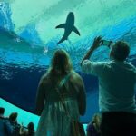 Frost Science Museum Admission Tickets - The Sum Up