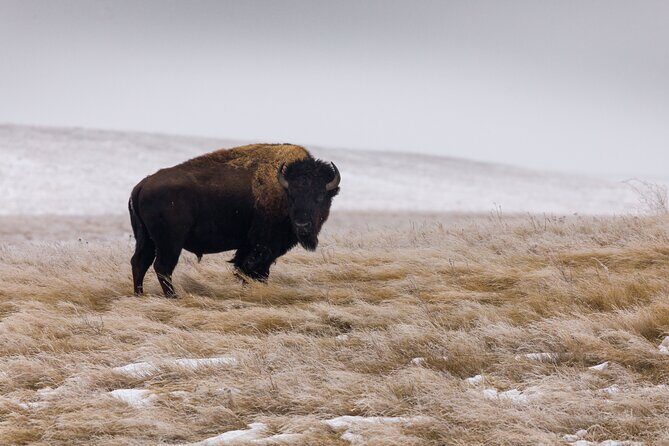 Frozen Frontier: Badlands Winter Expedition - The Practicalities: What’s Included and What’s Not