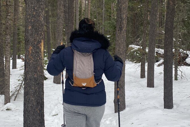 Frozen Waterfall Snowshoe Tour Estes Park - Whats Included and What to Keep in Mind