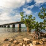 Ft. Lauderdale to Key West Day Trip Quality Day Tours - Arriving in Key West: Six Hours to Explore