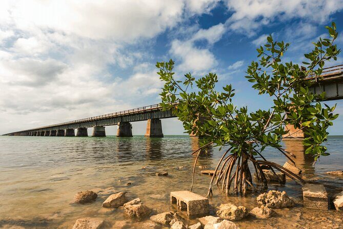 Ft. Lauderdale to Key West Day Trip Quality Day Tours - Arriving in Key West: Six Hours to Explore