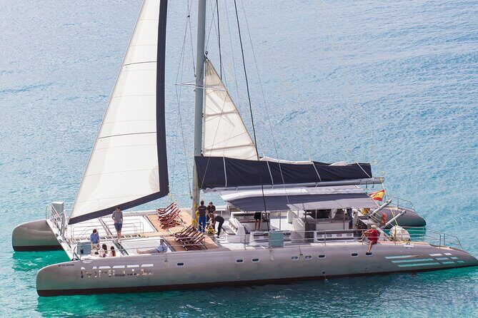 Fuerteventura: Day at Sea on a Sailing Catamaran with Lunch and Drinks - Who Will Enjoy This Tour?
