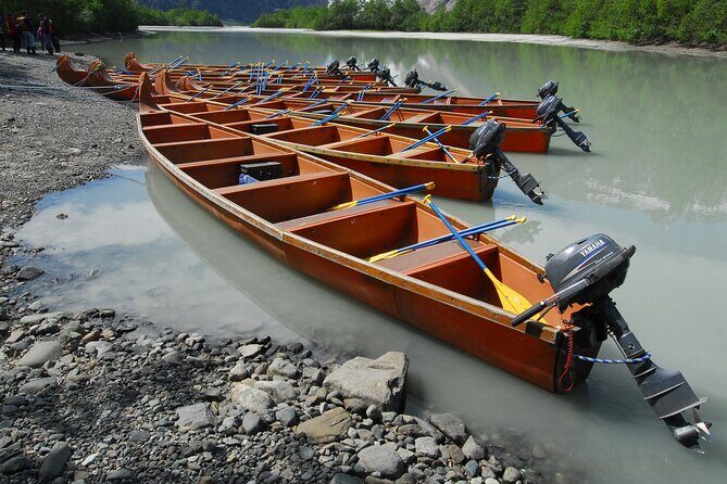 Full-Day Alaska Wildlife Voyageur Canoe Safari from Skagway - What Makes This Tour Stand Out
