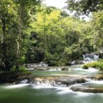 Full Day Appleton Rum YS Falls & Pelican Bar Group Tour - Who Will Love This Tour?