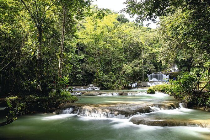Full Day Appleton Rum YS Falls & Pelican Bar Group Tour - Who Will Love This Tour?