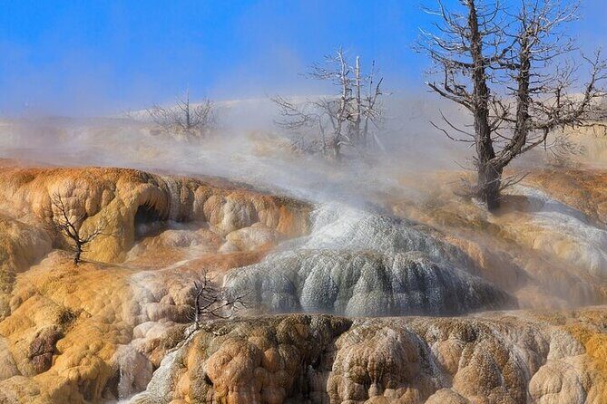 Full Day Best Of Yellowstone National Park Tour From Big Sky - Practical Tips for Travelers