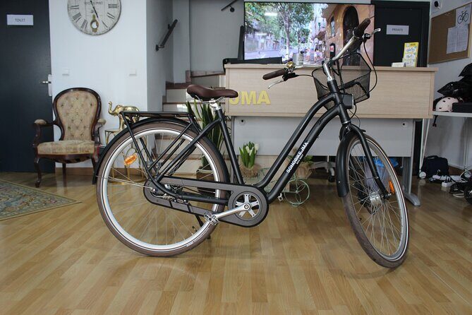 Full Day Bike Rental in Malaga - Who Will Love This Tour?