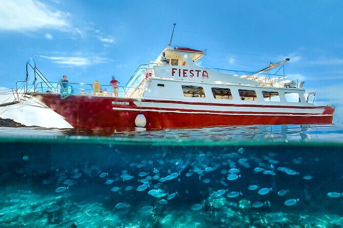 Full day boat tour transfers & lunch included - Authentic Experiences and Traveler Insights