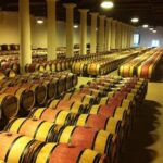 Full day Bordeaux Historic Gourmet Walking and Médoc Tour - The Wine Tasting Experience in Médoc
