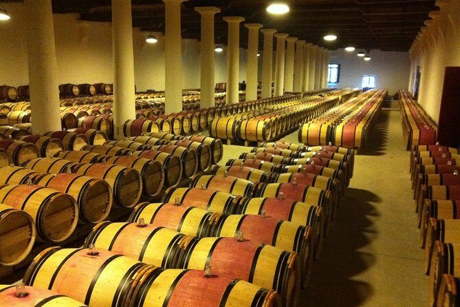 Full day Bordeaux Historic Gourmet Walking and Médoc Tour - The Wine Tasting Experience in Médoc