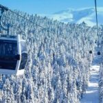Full Day Bursa Tour from Istanbul(with cable car) - Who Will Love This Tour?