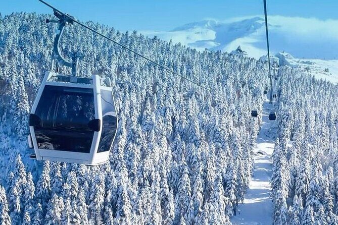 Full Day Bursa Tour from Istanbul(with cable car) - Who Will Love This Tour?