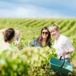 Full Day Champagne Pommery Small Group Tour - Transportation and Group Size