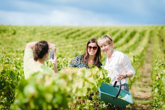 Full Day Champagne Pommery Small Group Tour - Transportation and Group Size