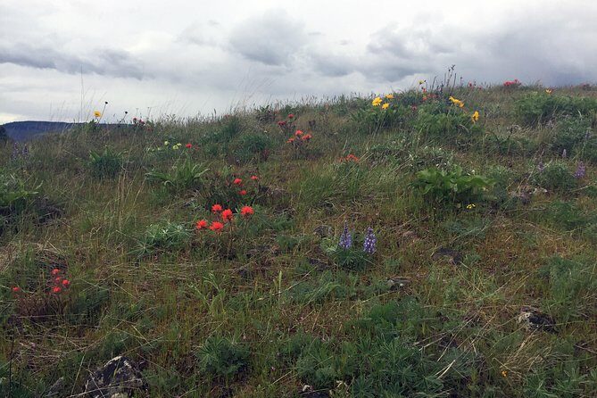 Full-day Columbia Gorge Hiking - What Travelers Are Saying