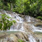 Full Day Dunn's River and Nine Miles with Lunch - What Weve Heard From Other Travelers