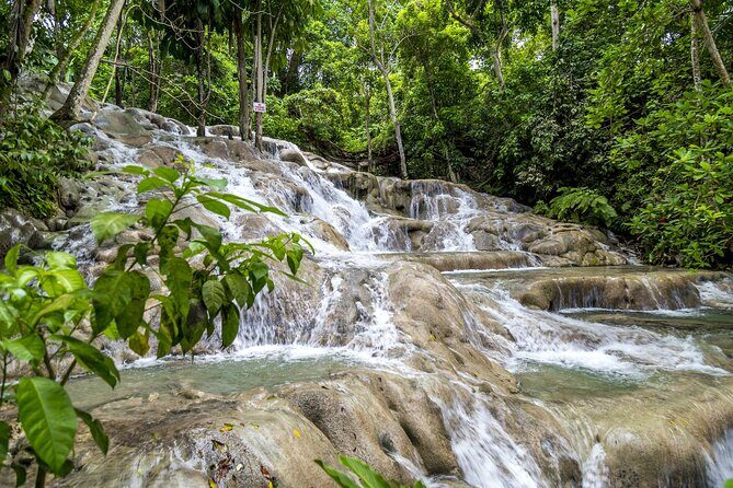 Full Day Dunn's River and Nine Miles with Lunch - What Weve Heard From Other Travelers