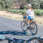 Full-Day Electric Bike Rental - Why This Tour Works for Different Types of Travelers