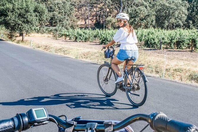 Full-Day Electric Bike Rental - Why This Tour Works for Different Types of Travelers
